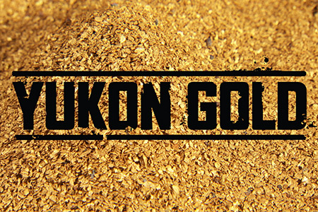 Yukon Gold | Global TV App